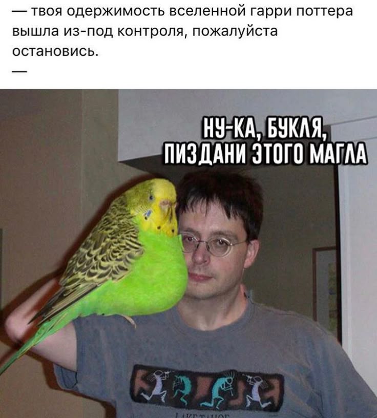 Лента - страница 3 | BeOn.Fun - Блоги, Форумы, Тесты, Общение!